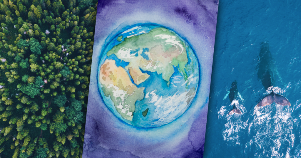 10 Ways to Support the Planet On Earth Day 2021 - GiveWP