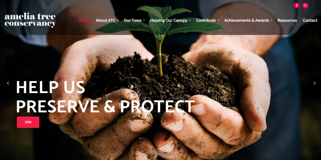 10 Ways to Support the Planet On Earth Day 2021 - GiveWP
